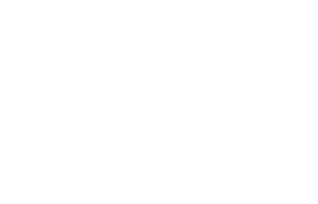 China Intelligence Solutions • Datenna