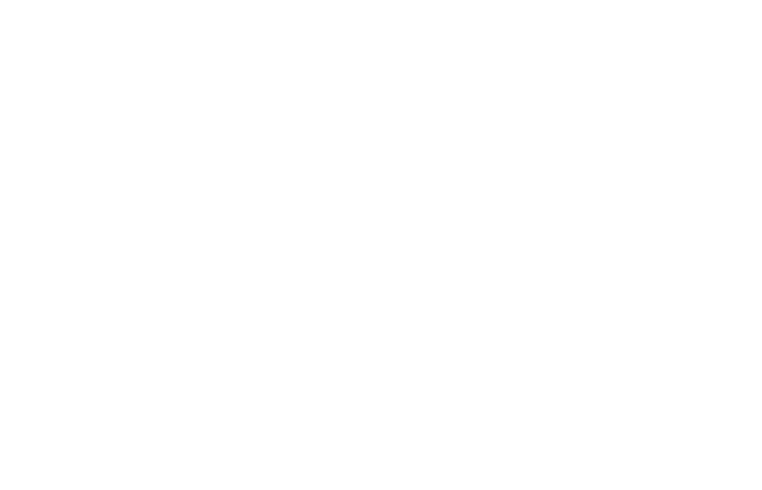 China Intelligence Solutions • Datenna